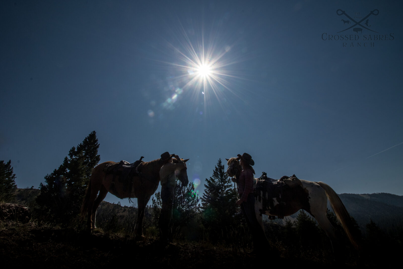 Cody Nite Rodeo: Thrills Await - Crossed Sabres Ranch