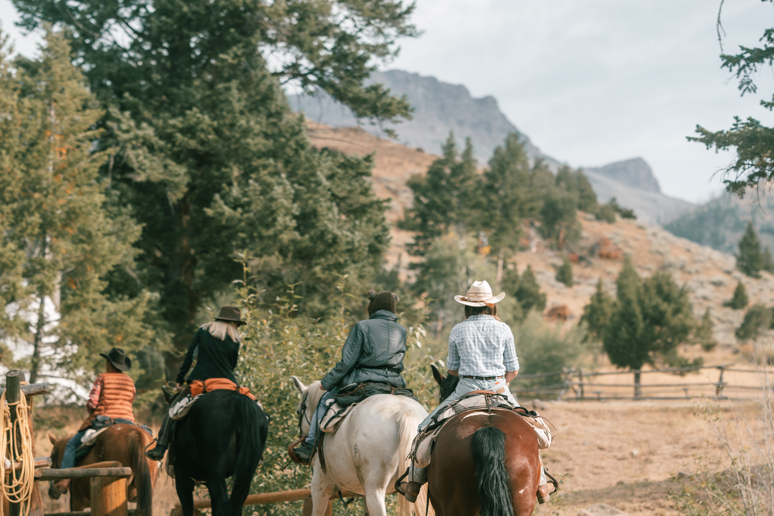 Discover Trail Riding Fun - Crossed Sabres Ranch